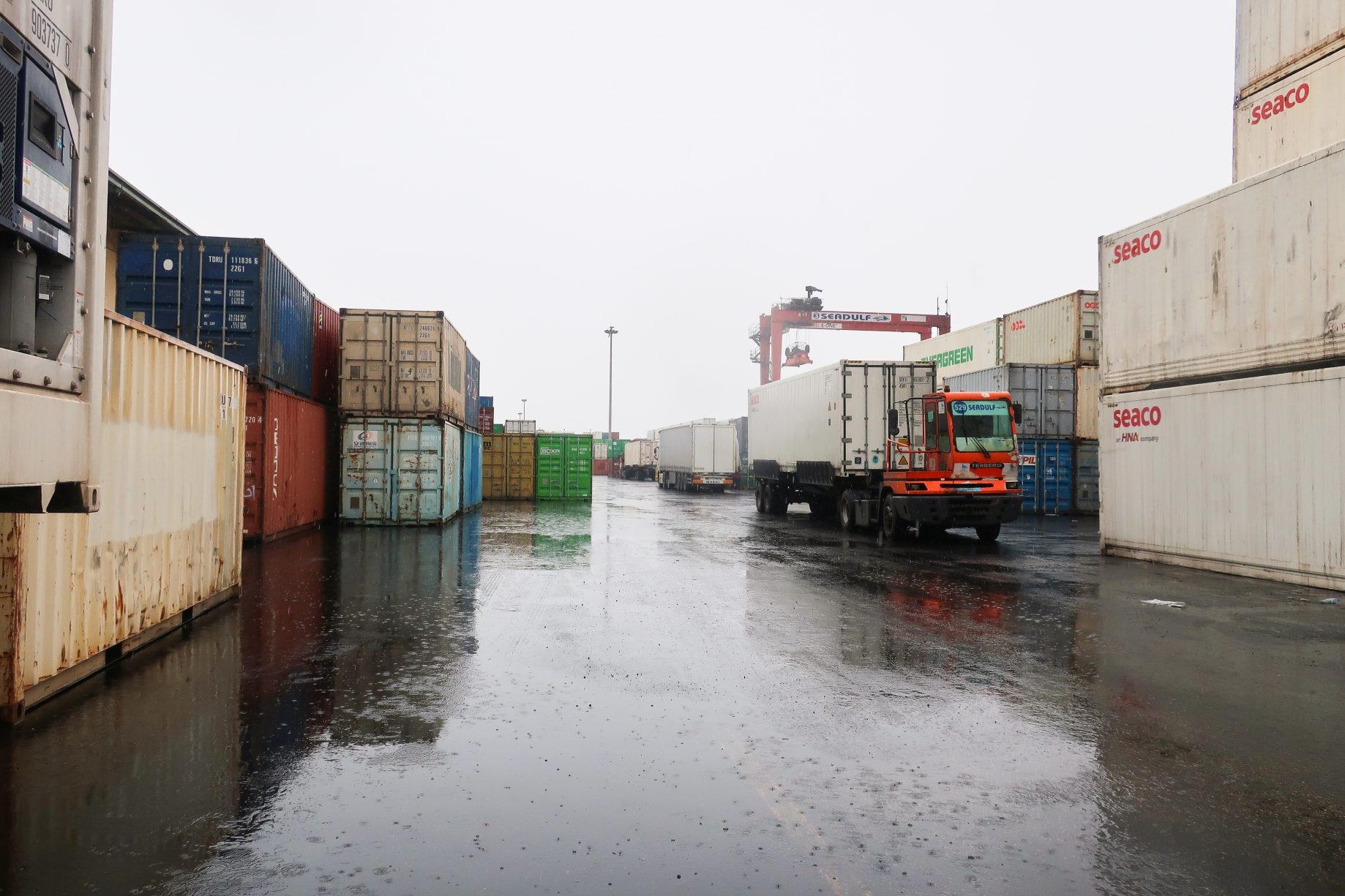 شرکت خدمات دریایی و بندری سی دلف